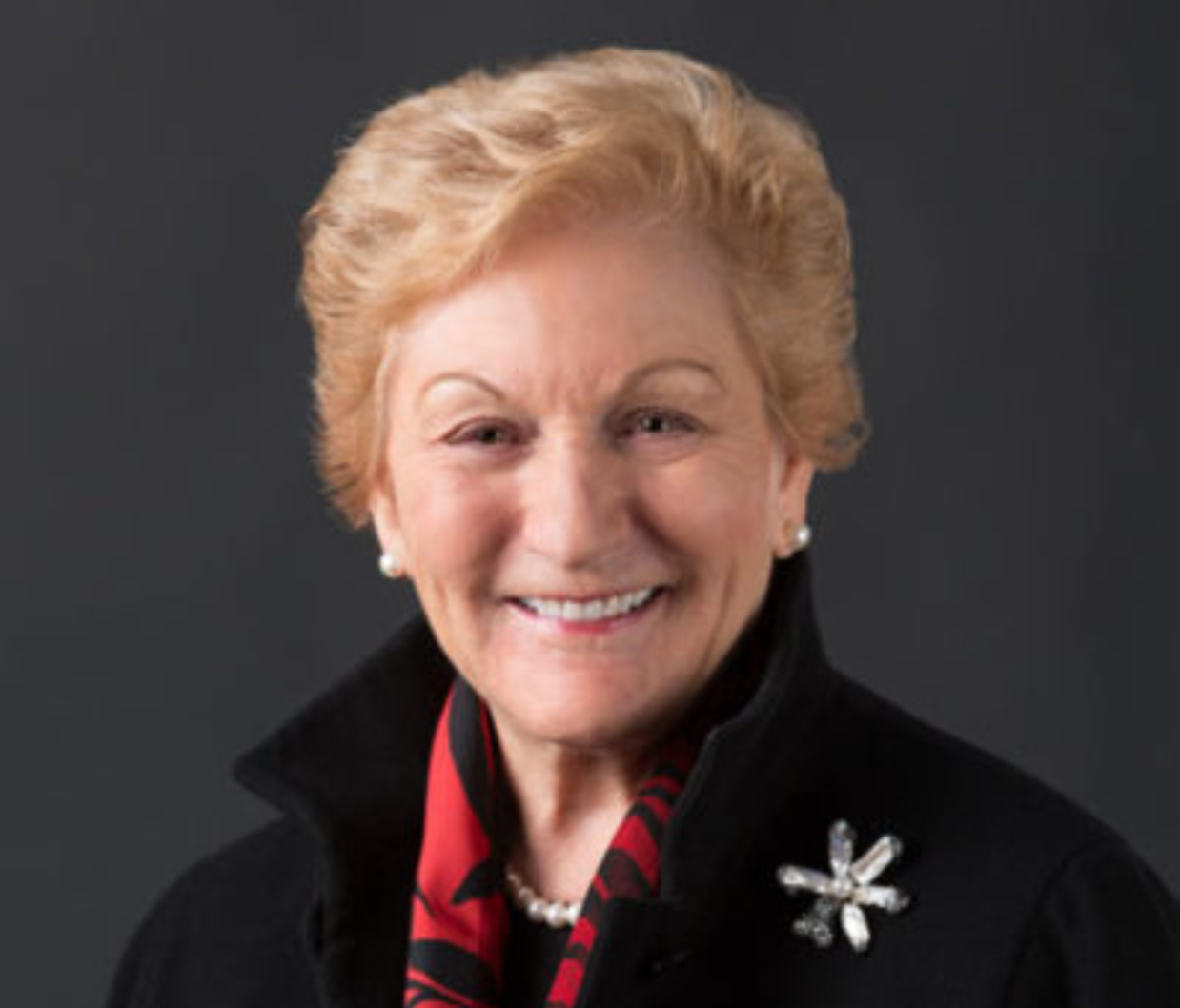 35th Anniversary Celebration - Partnership 4 Kids